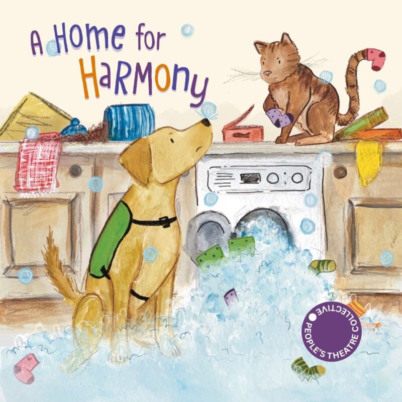 A Home for Harmony at Northamptonshire Central Library – Northampton BID