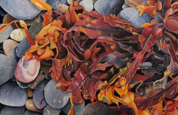 Northampton Town and County Art Society Annual Exhibition – Northampton BID